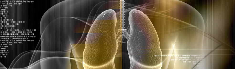 Port Pirie - HFNPO2 + NIV | Home